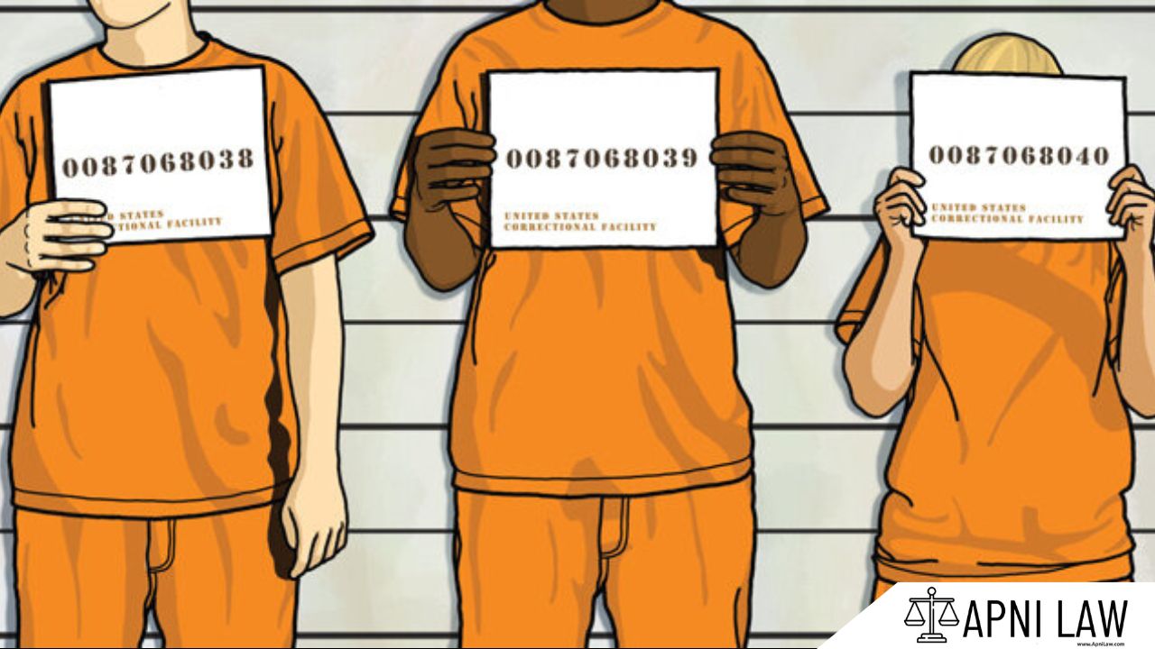 Understanding Juvenile Delinquency: Causes, Types, and Legal ...